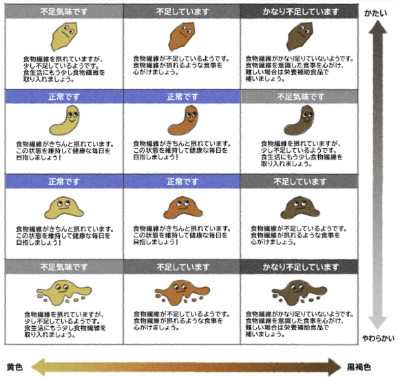 【健康チェック】うんちのベストな形と色はどんなの? 腸から始めよ【体質改善】